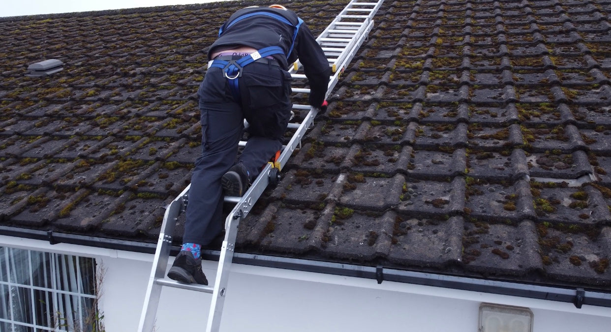 SafetyProof Ladder Attachment – SafetyProof Ltd